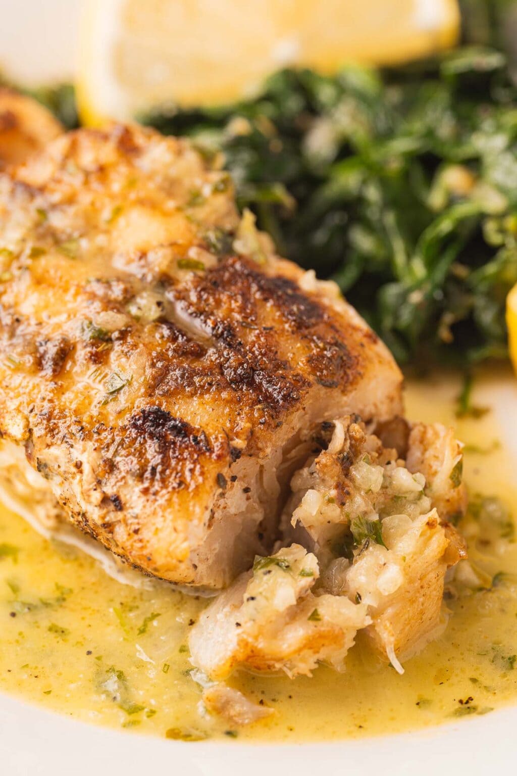 Our Best Grouper Recipes – thehappy-chef.com
